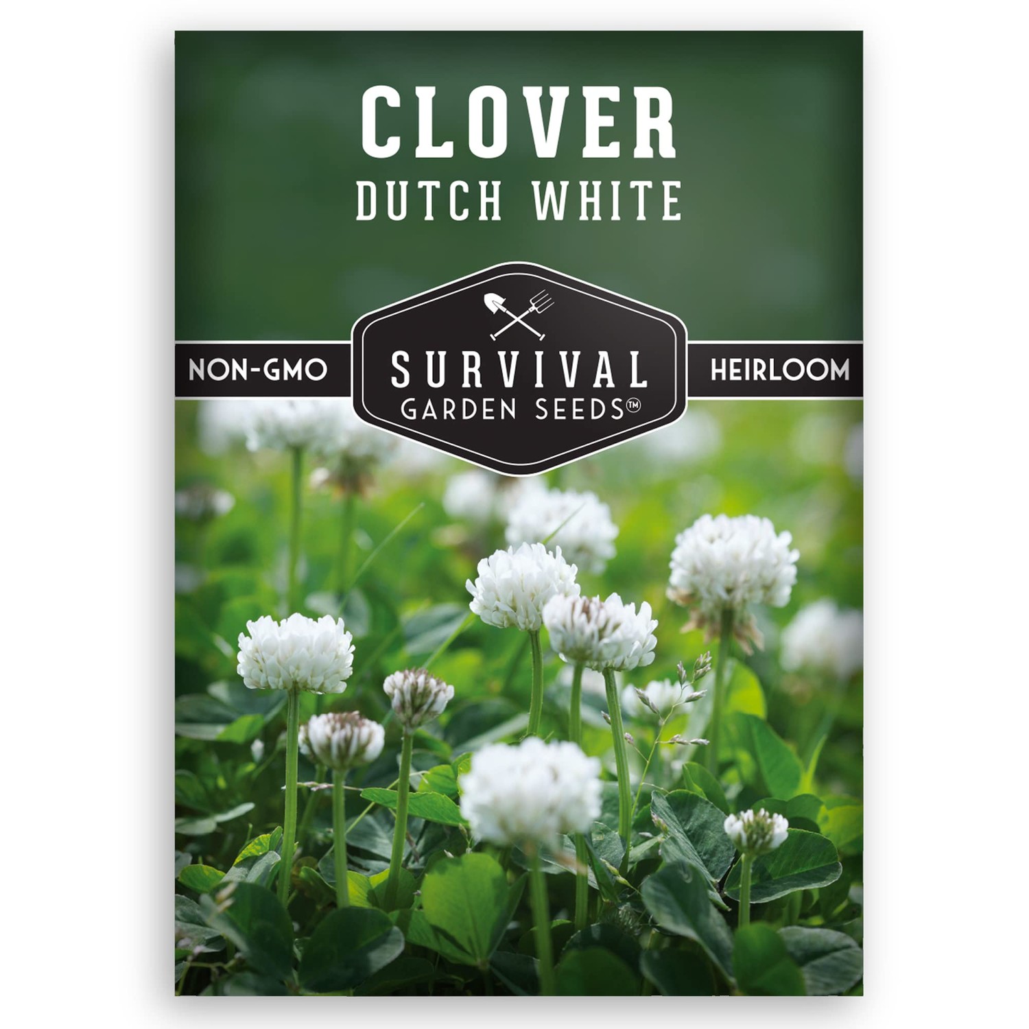 1 Pack Dutch White Clover Seeds for Planting with Instructions to Grow ...