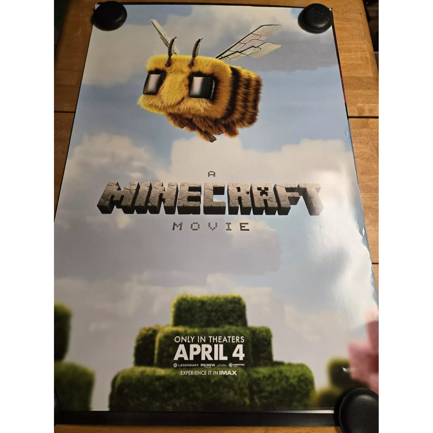 Minecraft the Movie Theater FS DS 27x40 Official Poster Teaser - ibspot.com