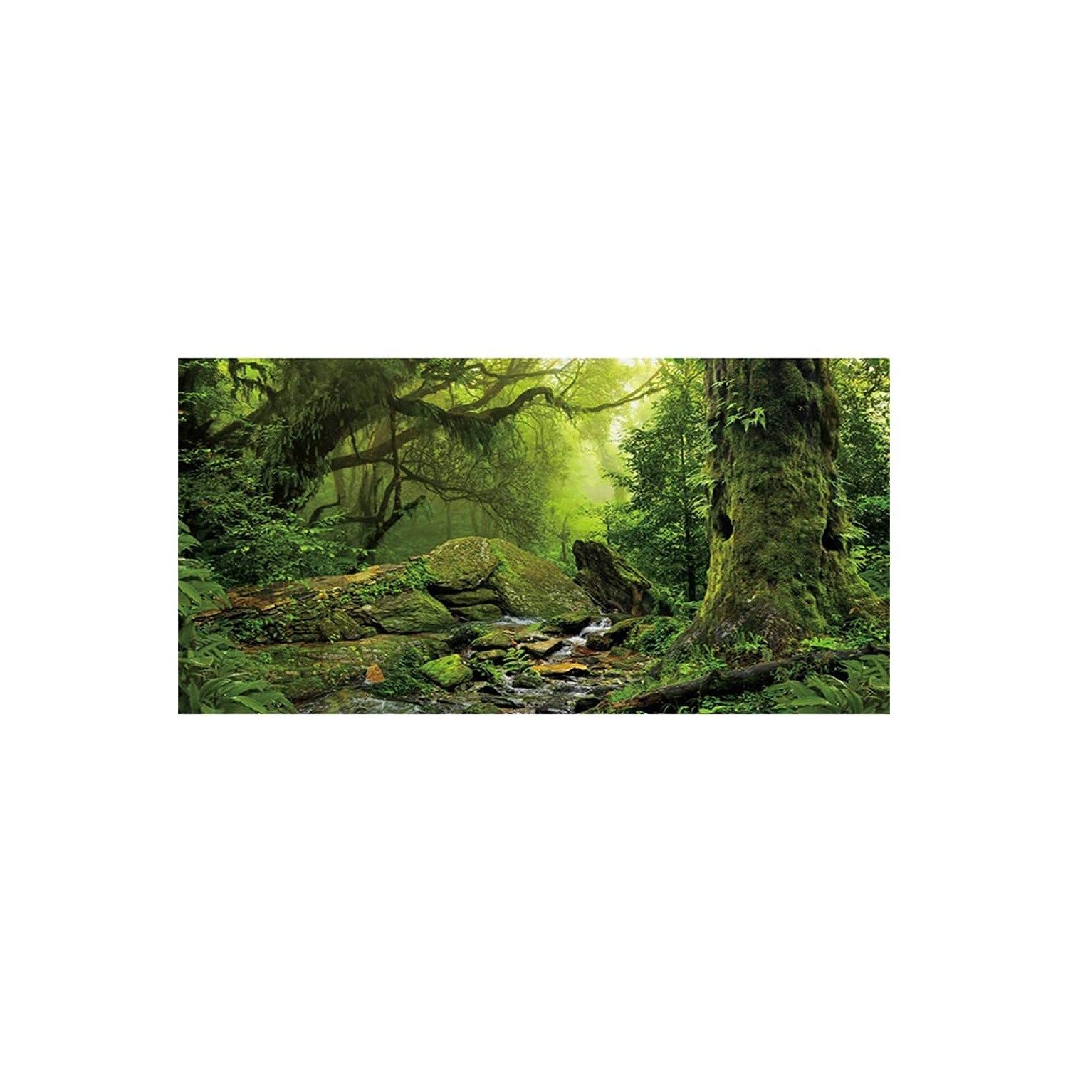 AWERT Tropical Forest Terrarium Background Stream Green Huge Tree ...