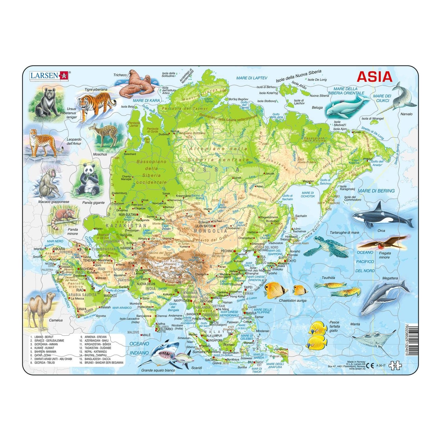 Larsen A30 Physical Map of Asia, Italian Edition, Frame Puzzle with 63 ...