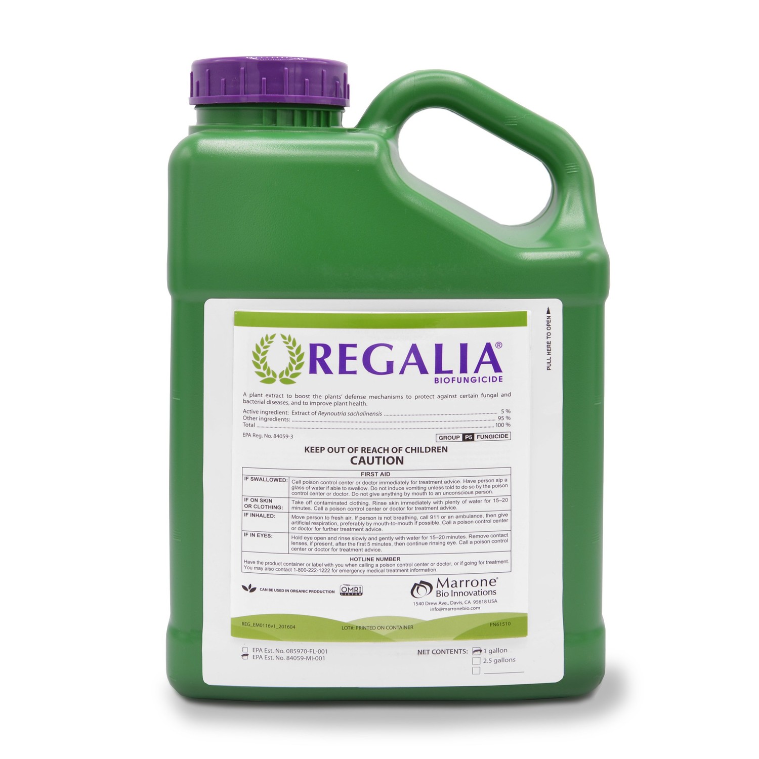 Marrone Bio Innovations Regalia Biofungicide Fungicide inhibits fungal ...