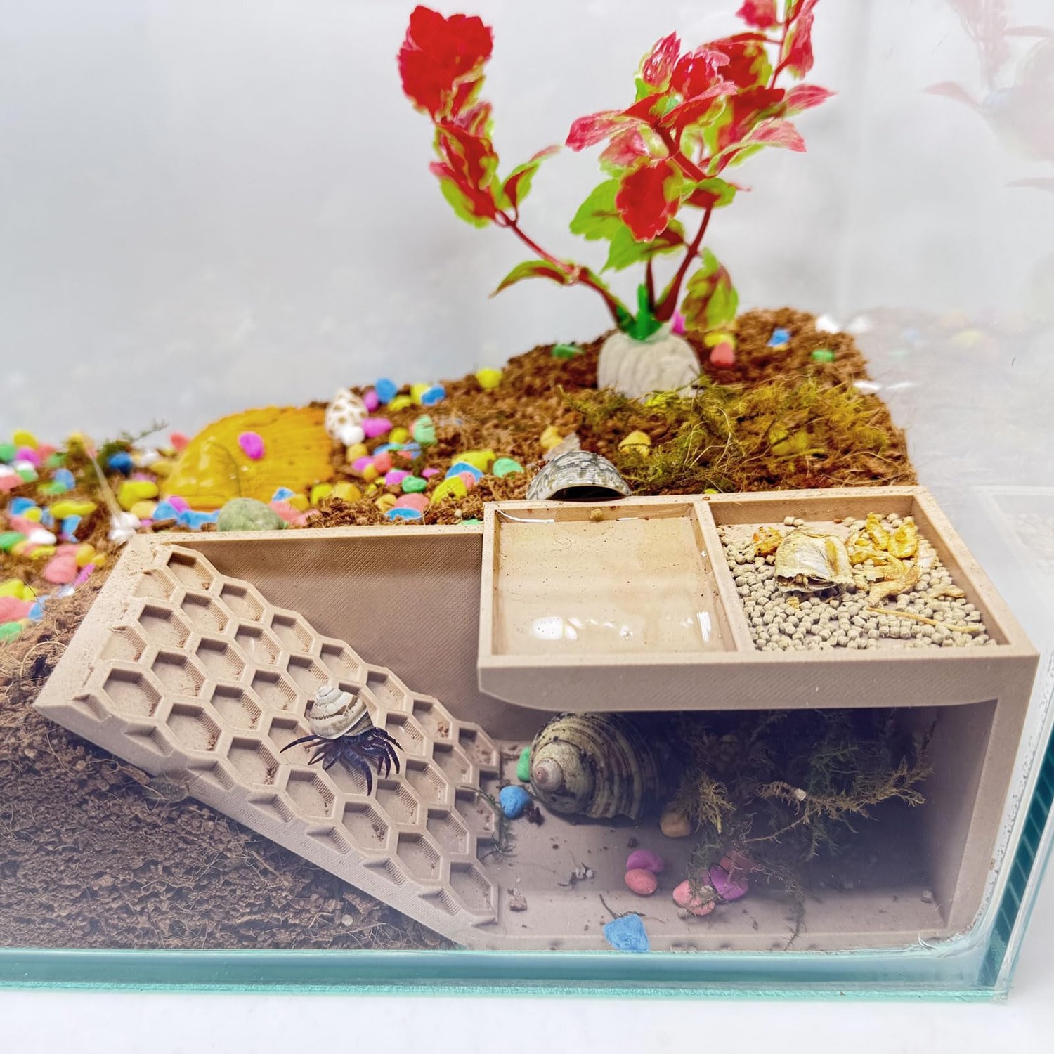 Hermit Crab Hideaway,Underground Habitat and Climbing Toy, 3D Printed ...