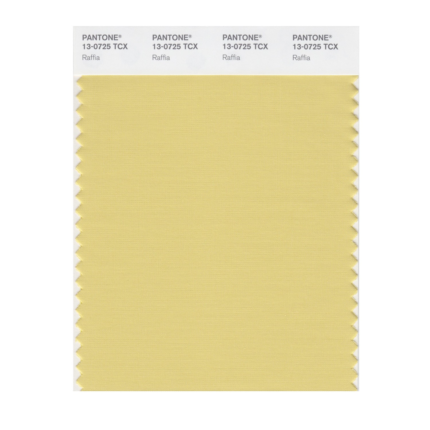 PANTONE Smart 13-0725X Color Swatch Card, Raffia - ibspot.com