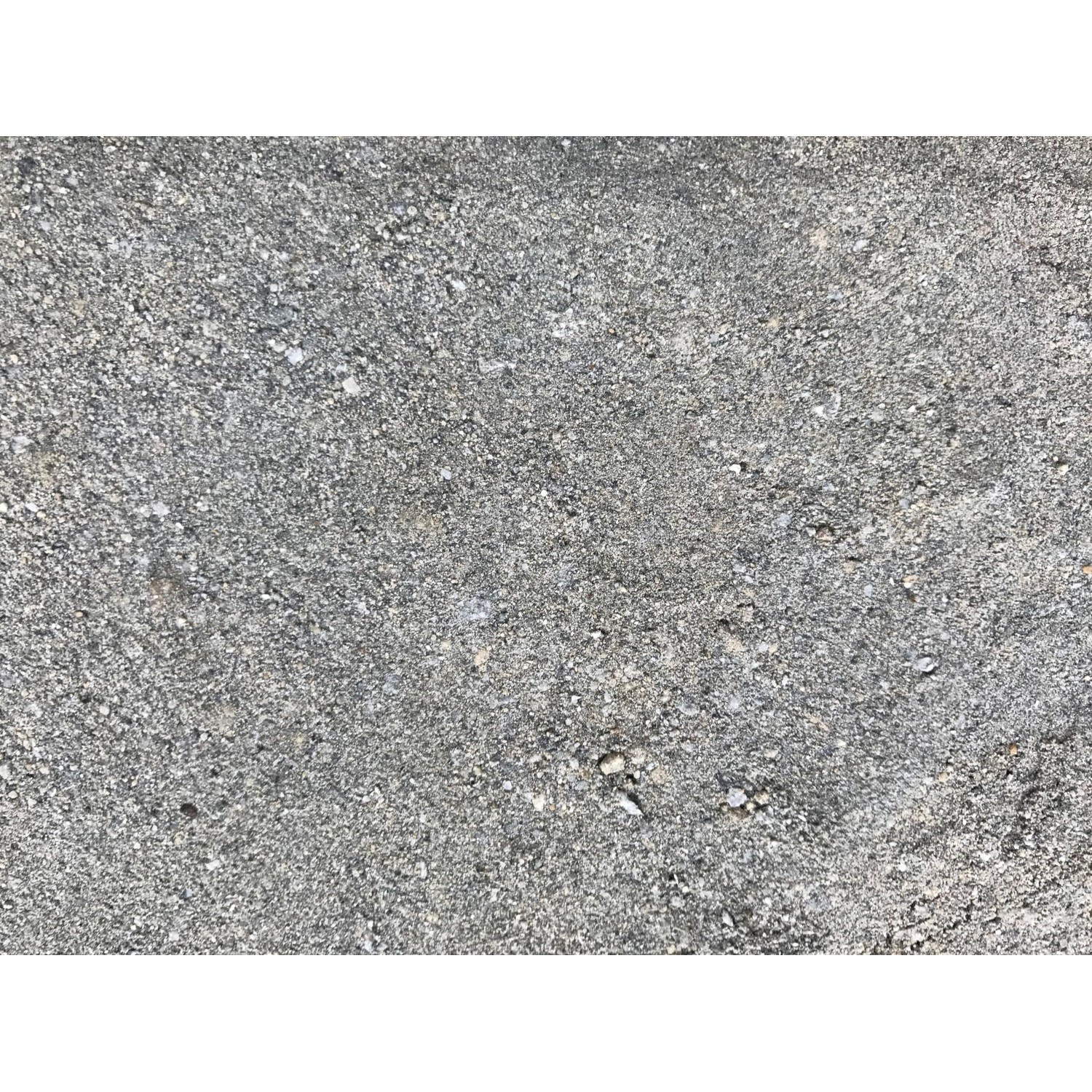 Pathway Fines, Alabaster Silver, Covers up to 10 Sq. Ft., Decomposed ...