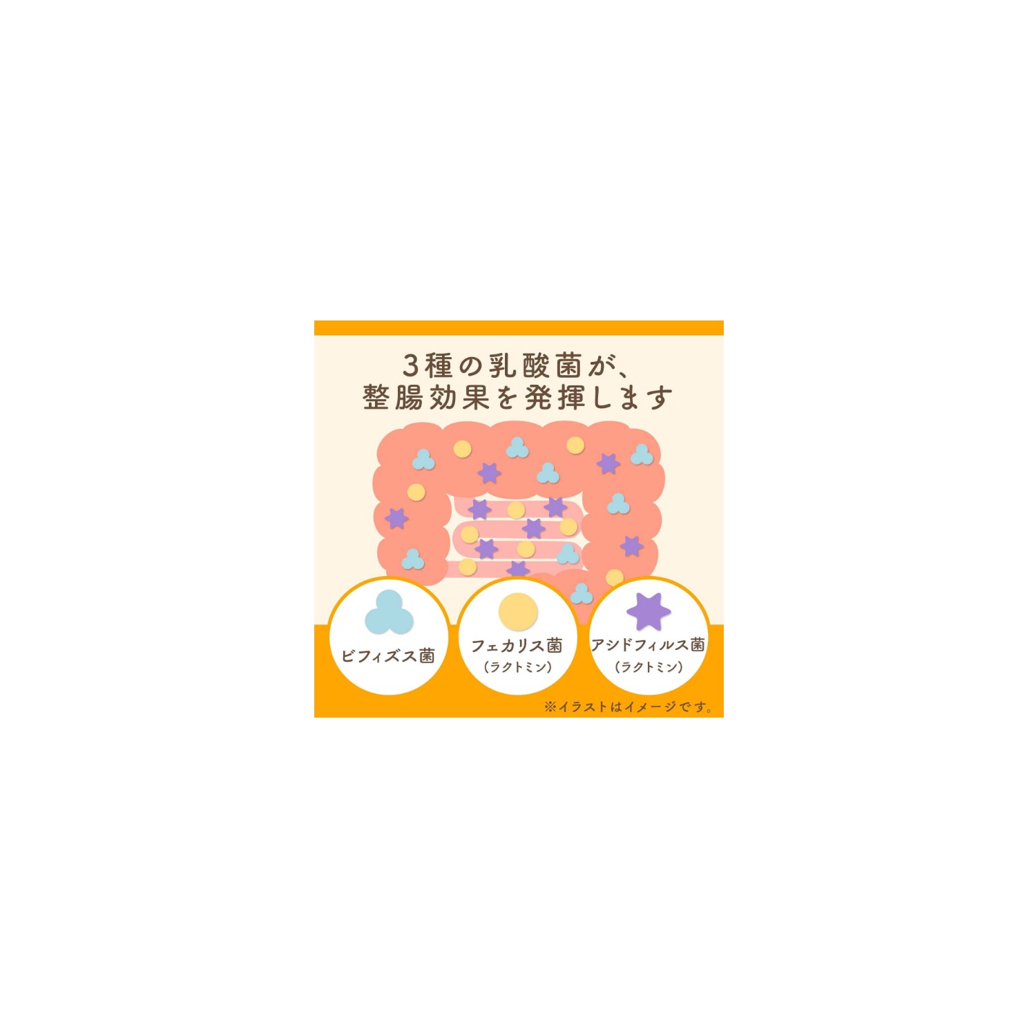 Ebios Supplement - ibspot.com