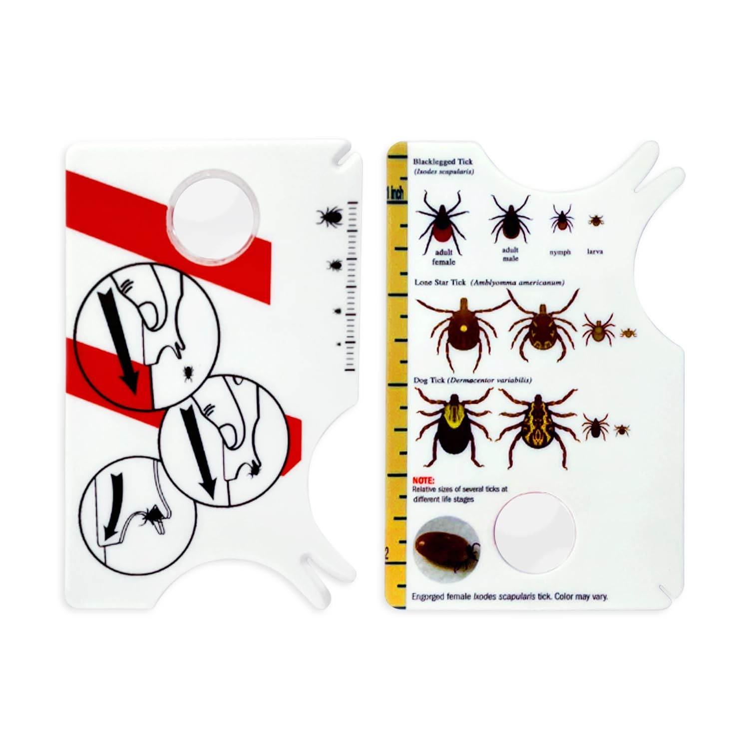 HDGSAFD Pack of 2 Tick Cards, Tick Catcher Card with Magnifying Glass ...