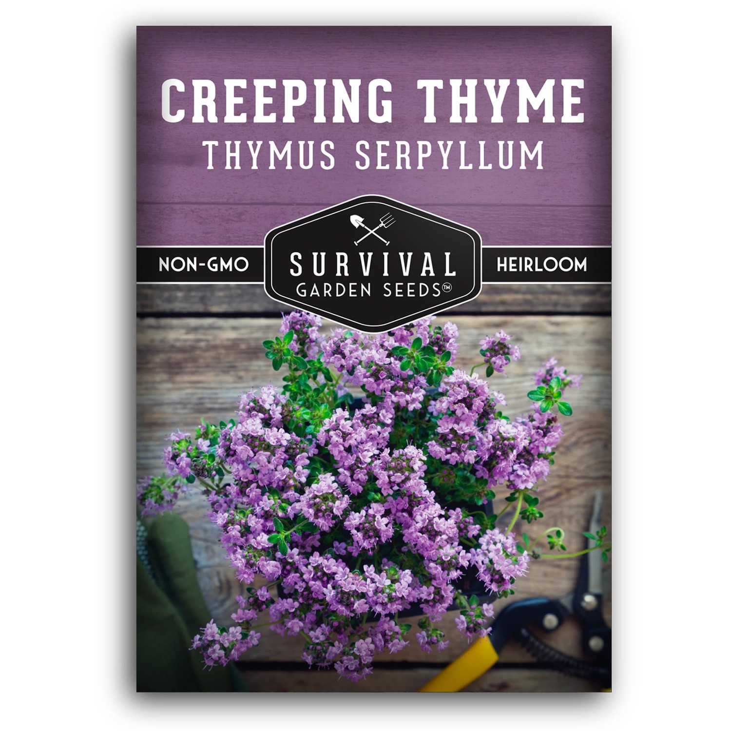 SURVIVAL GARDEN SEEDS Creeping Thyme Seed for Planting - 1 Packet with ...